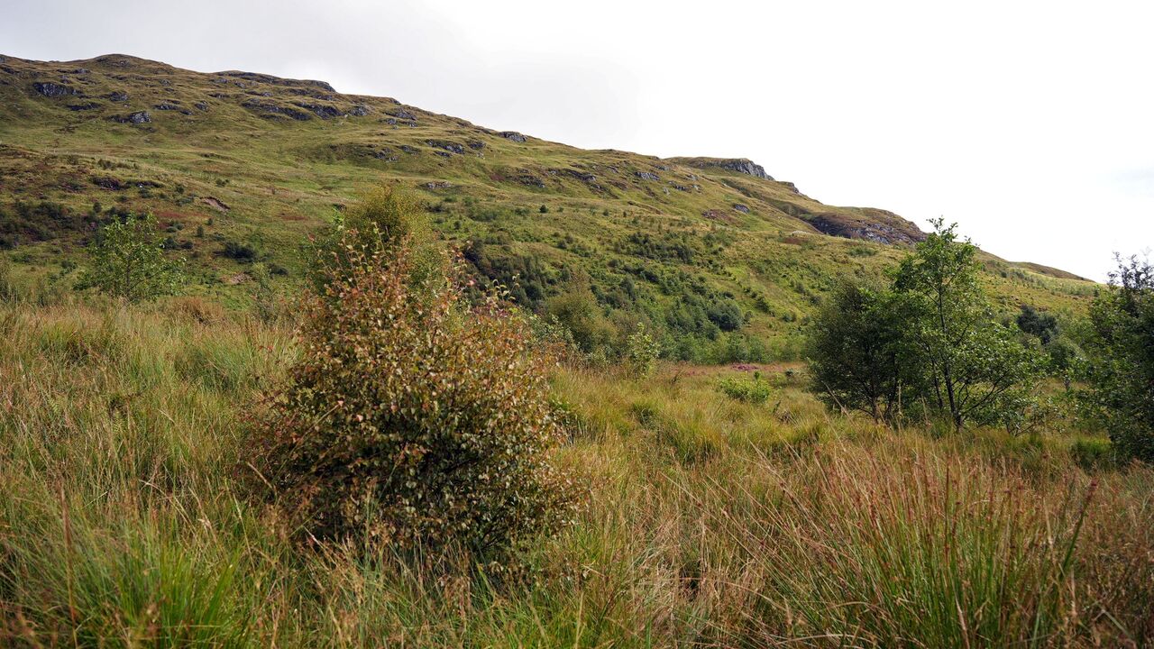 Scottish nature reserve teams up with major electricity company to ...