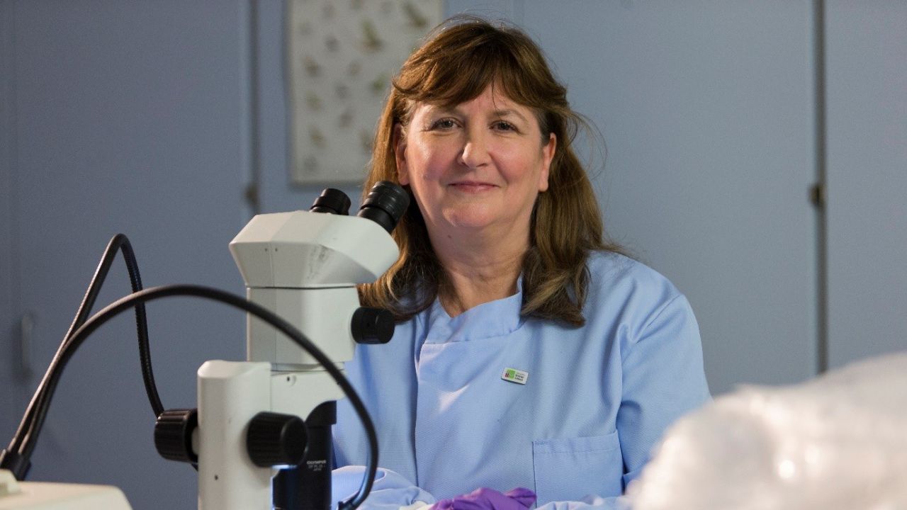 Hutton forensic soil scientist Professor Lorna Dawson named Dame ...