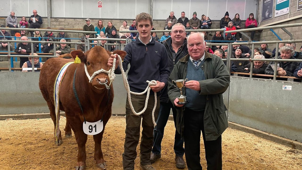 James Swanson takes home the championship at Caithness Young Farmers ...