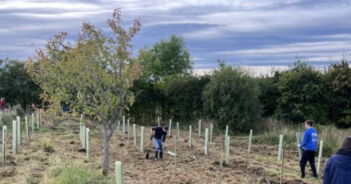 Apache corporation announces inaugural UK Tree Grant Program recipients