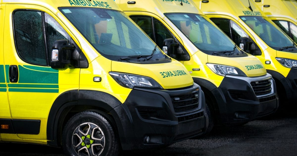 Tuesday, November 12, 2024: Today's business headlines