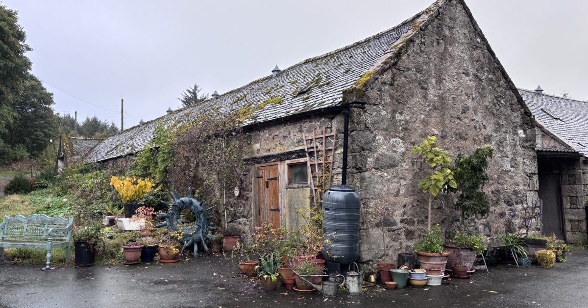 Drumbulg partners with Annie Kenyon Architects