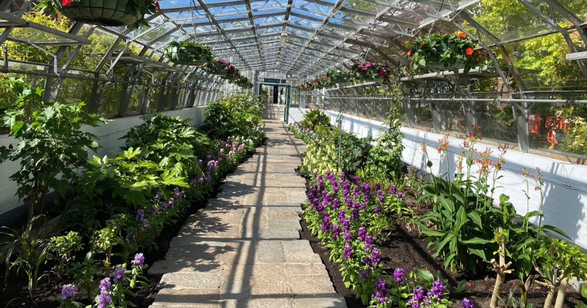 Aberdeen in 2025 Britain in Bloom finals!